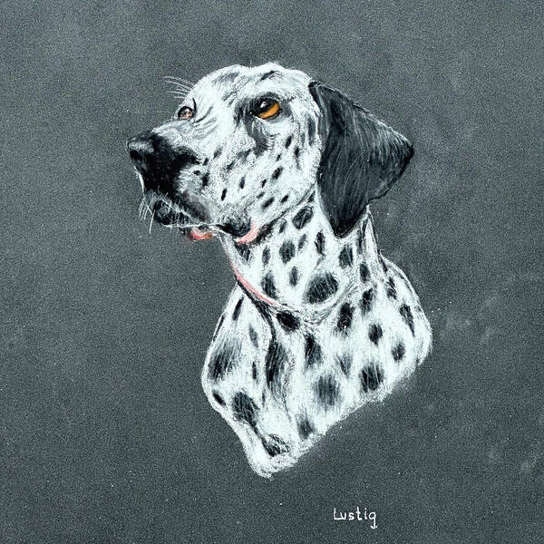 Spotty - Art Print – PetWise Atelier